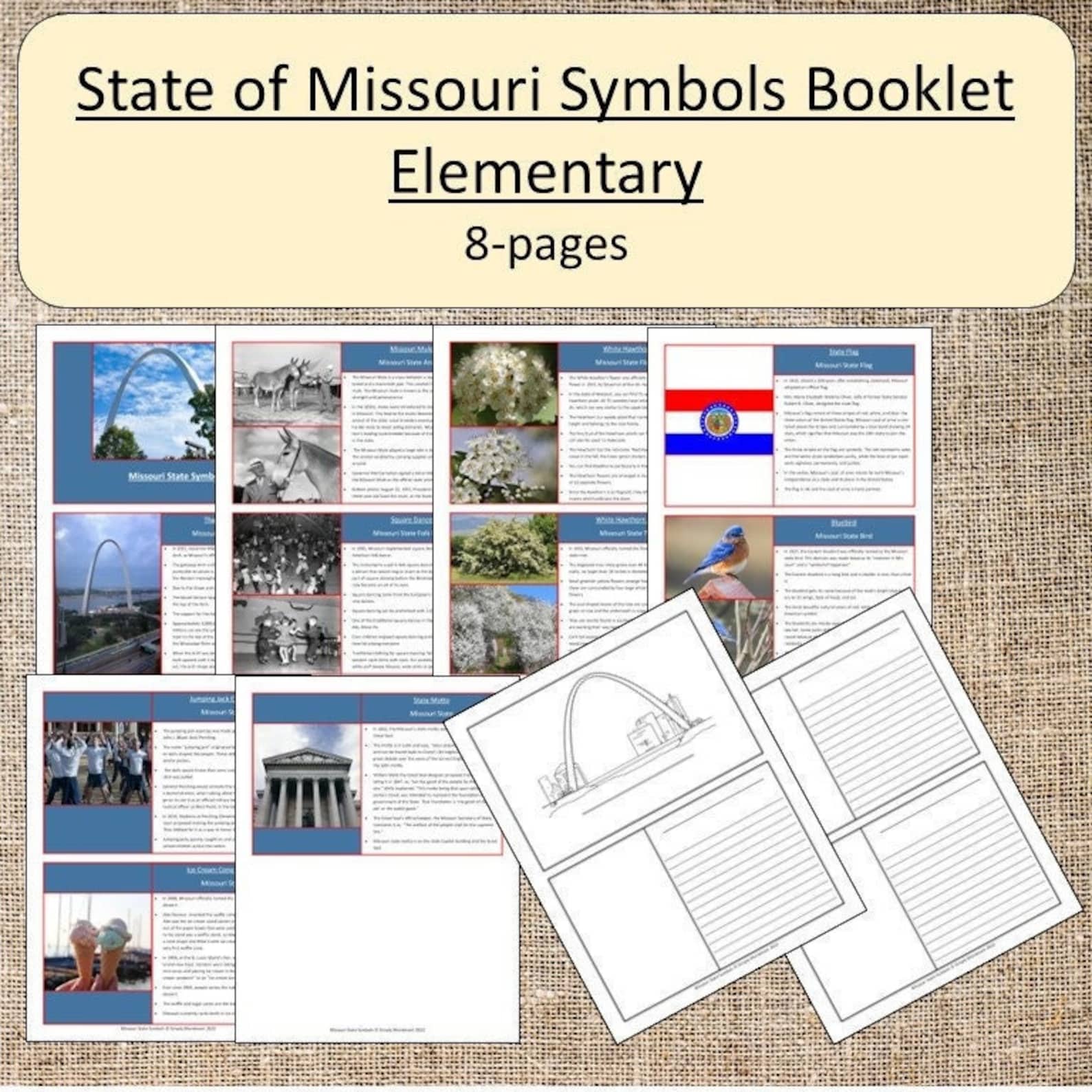 State of Missouri Symbols Booklet Elementary Montessori Homeschool - Etsy