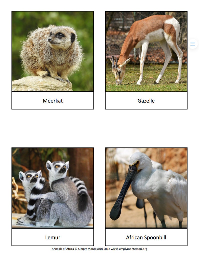 African Animal Identification Montessori, Waldorf, Reggio Homeschooling ...