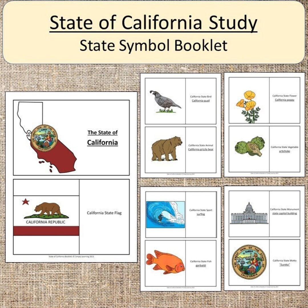 California State Booklet / Where I Live Worksheet Homeschool ...