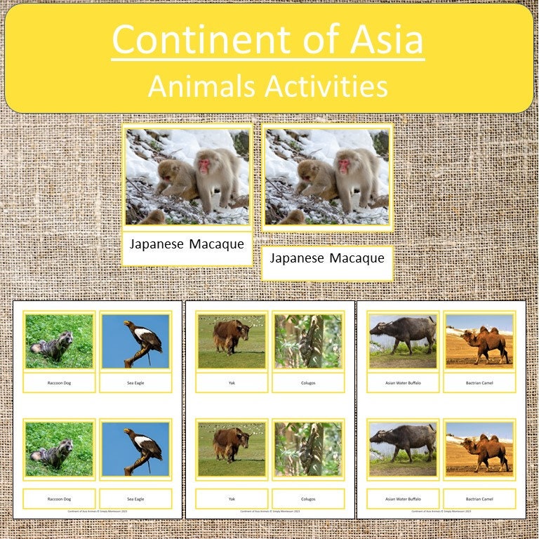 Continent of Asia Animals Activities Montessori Preschool - Etsy