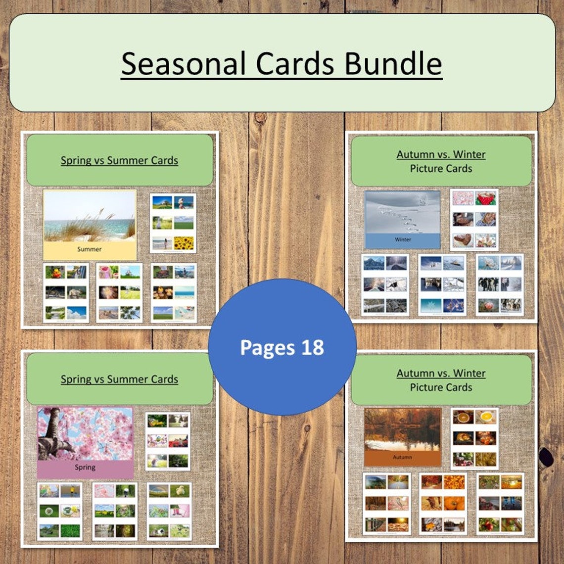 Seasons! Spring Vs. Summer Vs. Autumn Vs. Winter Montessori - Etsy