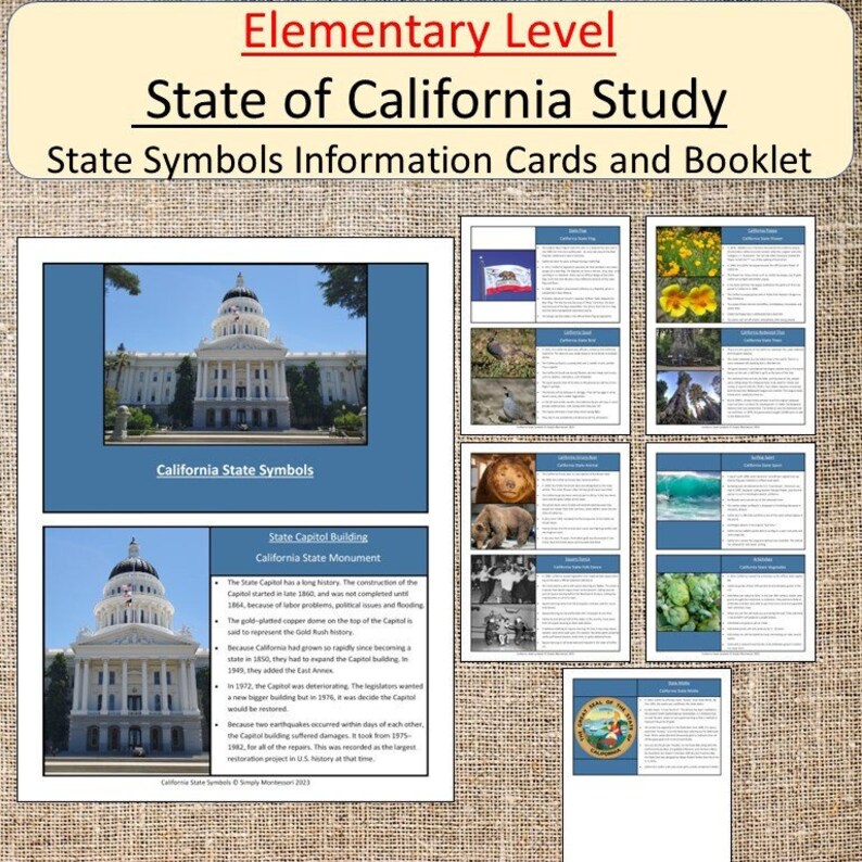 State of Texas Symbols Booklet Elementary Montessori Homeschool - Etsy
