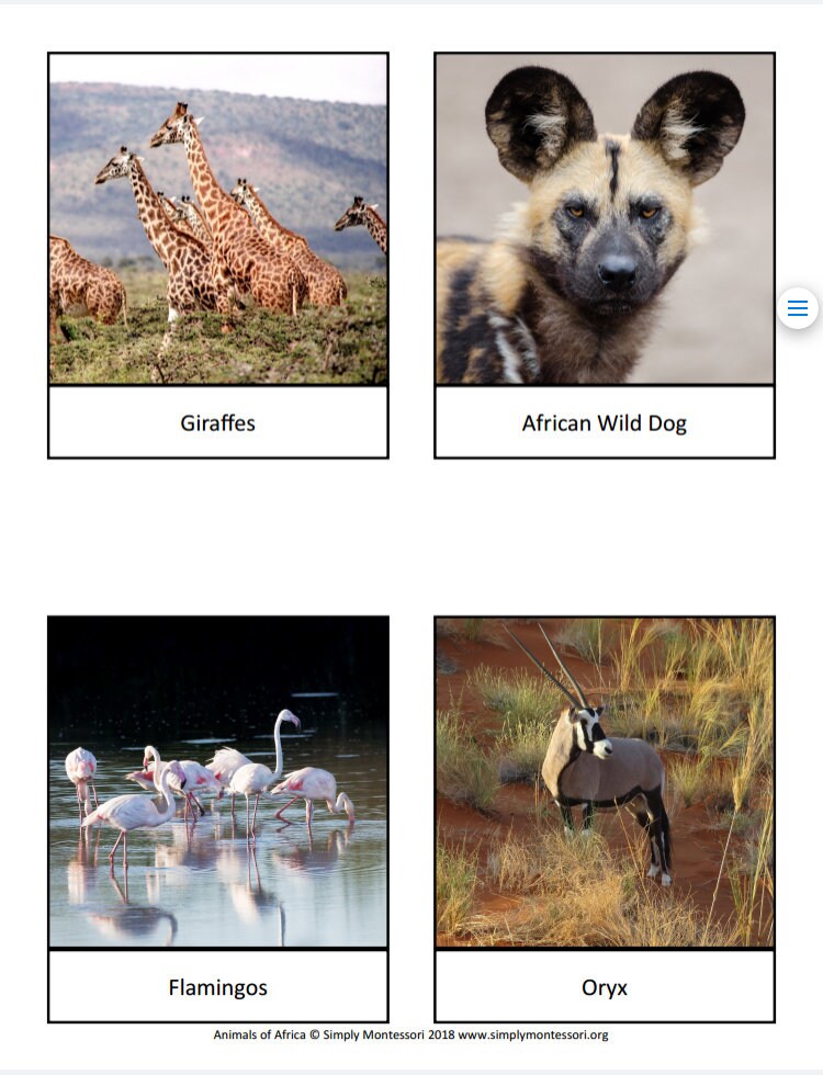 African Animal Identification Montessori, Waldorf, Reggio Homeschooling ...