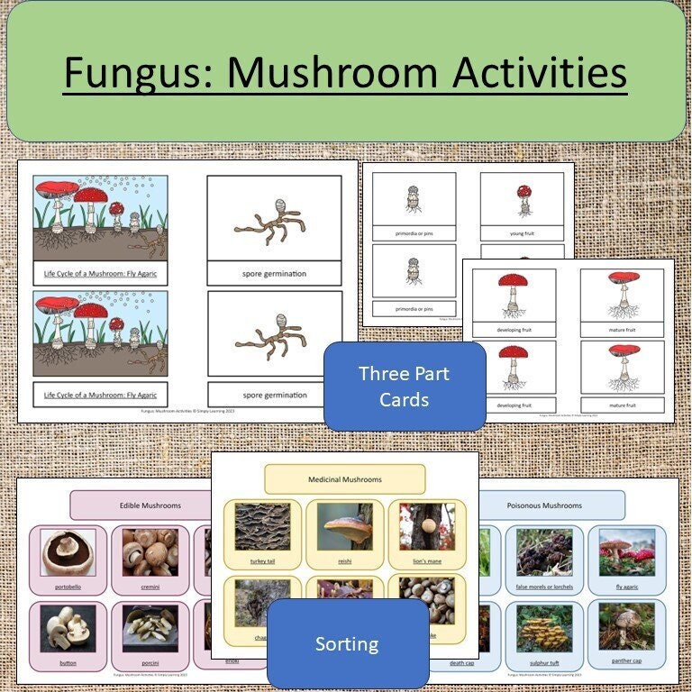 Mushroom Fungus Work Eco-system Spring Summer Montessori Preschool - Etsy