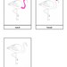 Parts of a Flamingo Summer Activity Three Part Cards Montessori ...