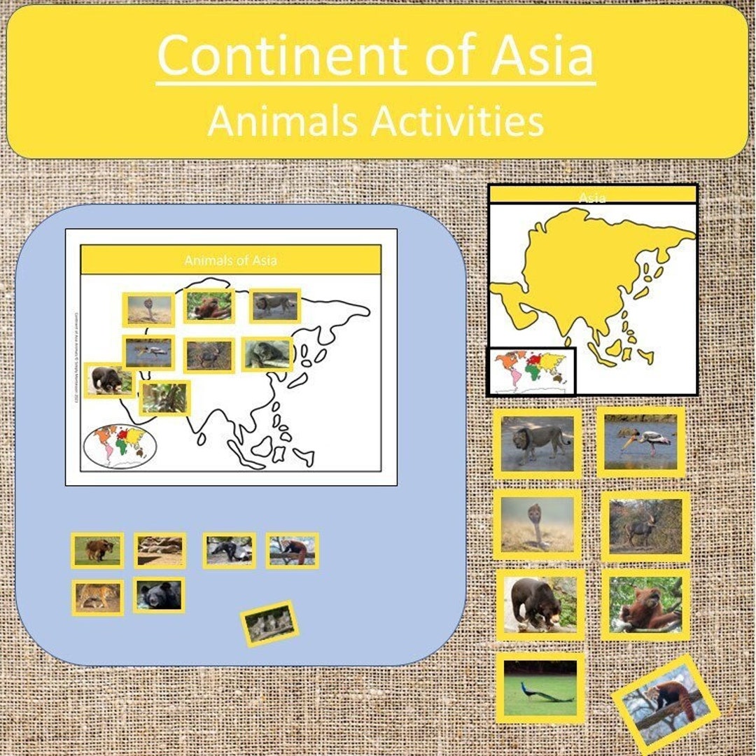 Continent of Asia Animals Activities Montessori Preschool - Etsy