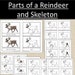 Parts of a Reindeer and Skeleton Winter Study Curriculum Elementary - Etsy
