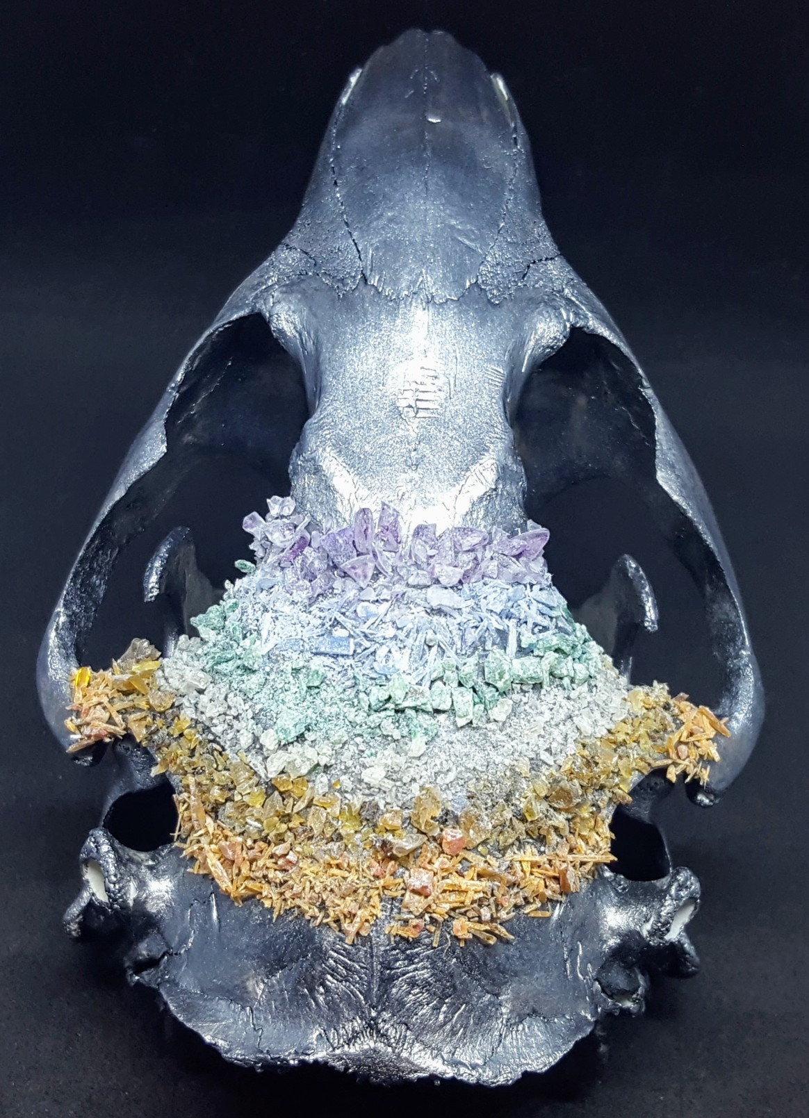 Rainbow Beaver Skull - Etsy