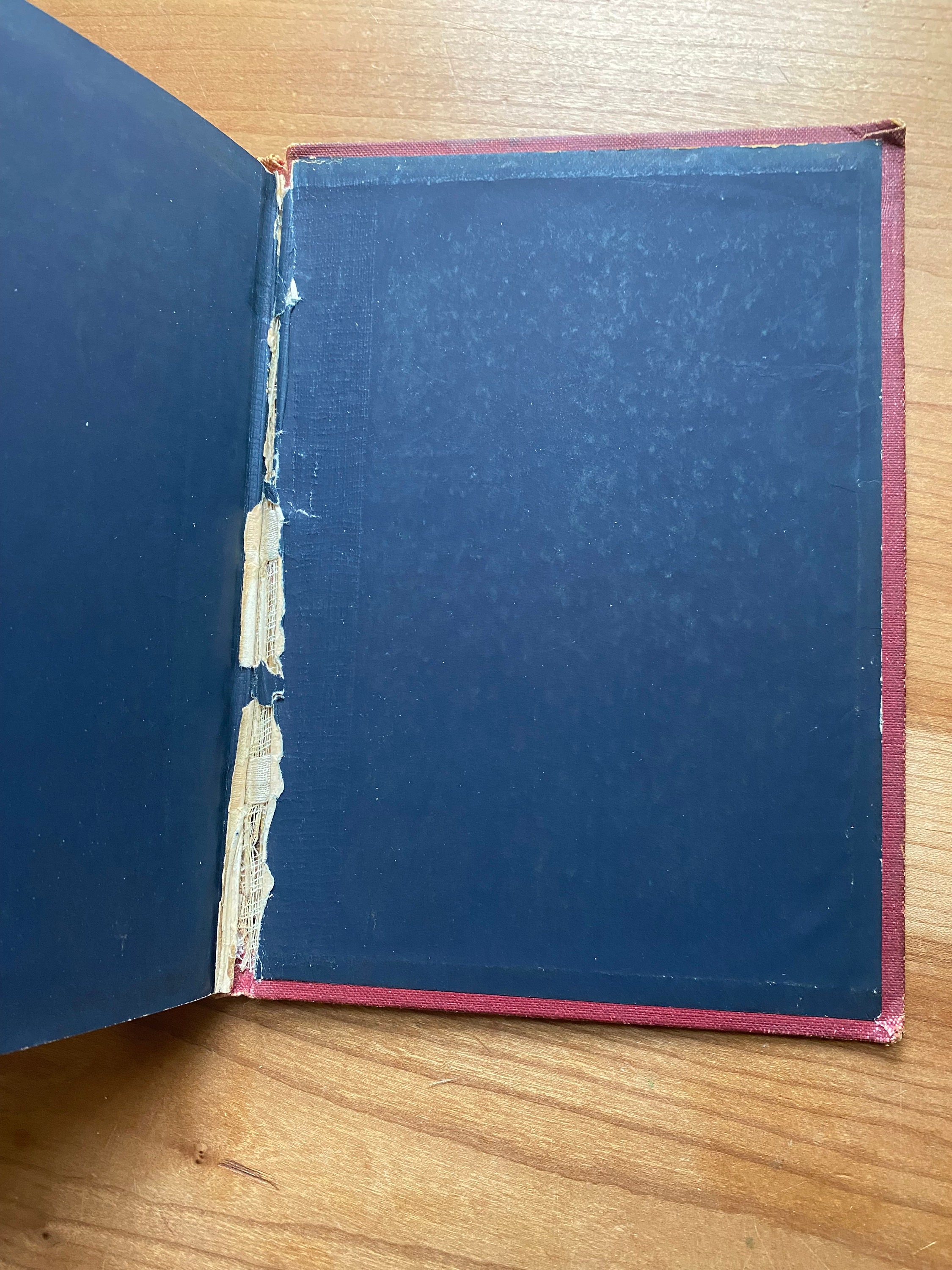 The Golden Fairy Book Fifth Thousand Voltaire Dumas - Etsy