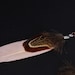 Dread Feather, Pendant With Feather, Natural Feather Jewelry - Etsy