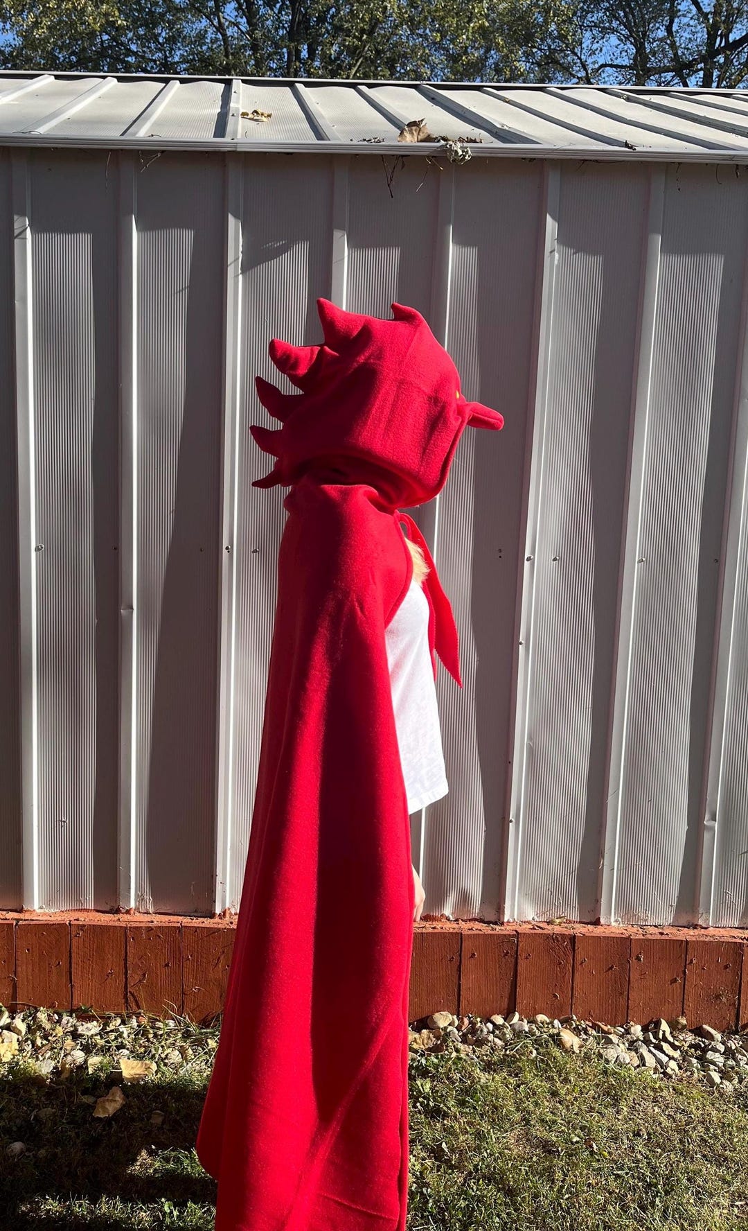 Terezi Pyrope Dragon Hood Cape - Etsy