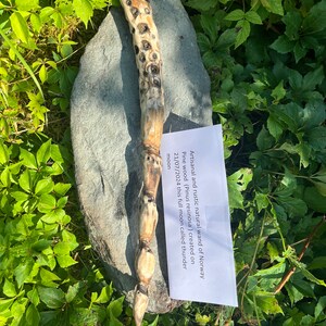 Magic Wand Made From Norway Pine Wood (07/21/2024) on This Full Moon ...