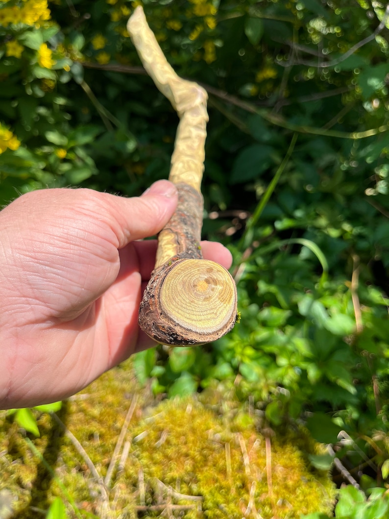 Natural Magic Wand Made of Sumac Wood Vinegar rhus Typhina the Wood of ...