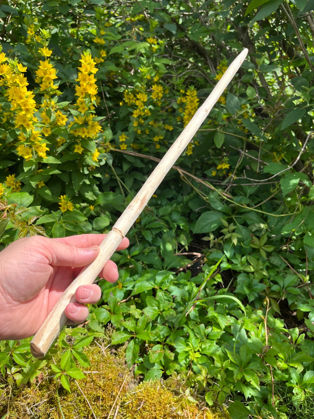 Native Shaman Wand Made of Balsam Fir Wood (abies Balsamea) Nammed ...
