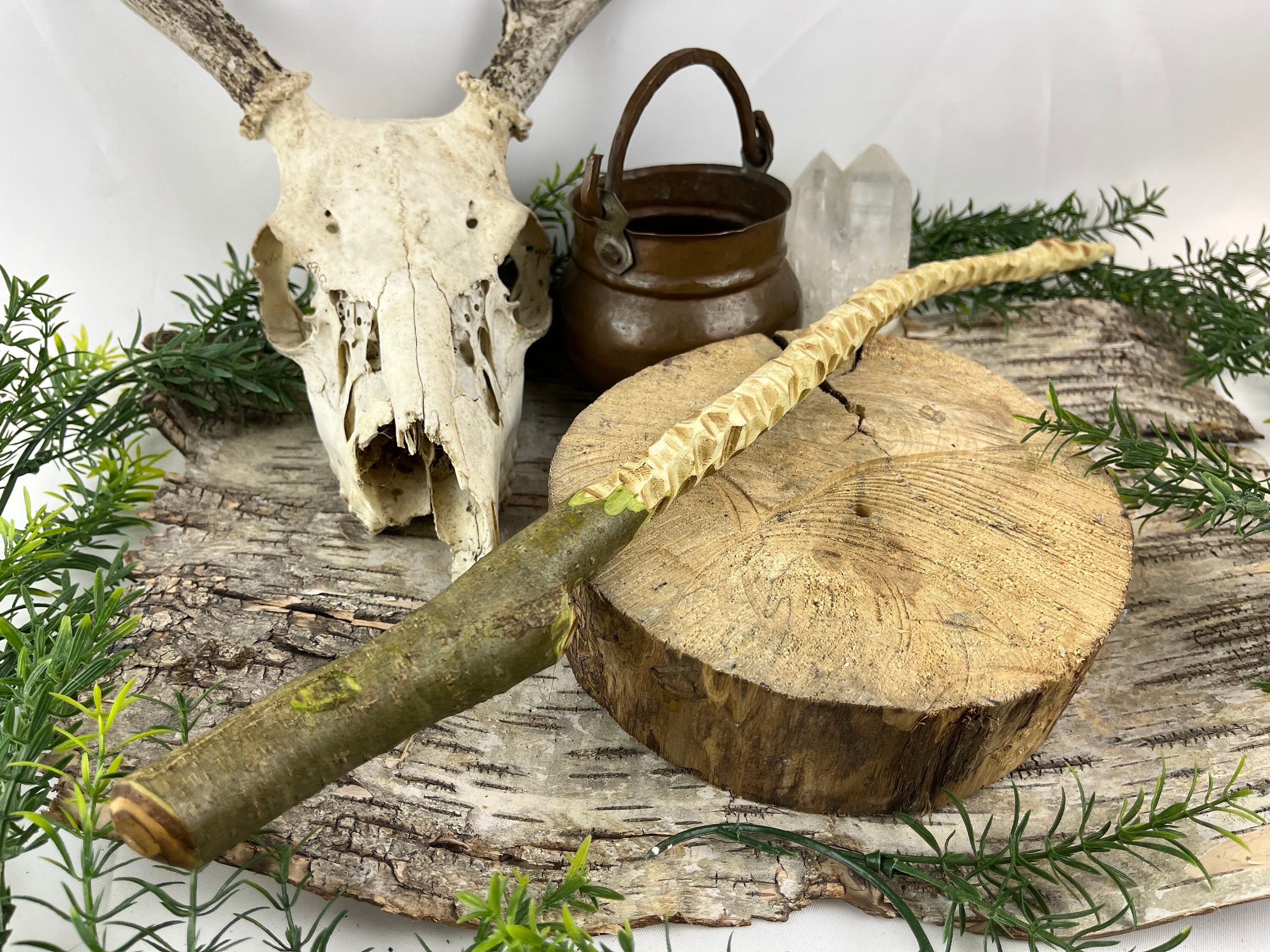 Magic and Rustic Wand of Natural Natural Winter Holly Stick (ilex ...