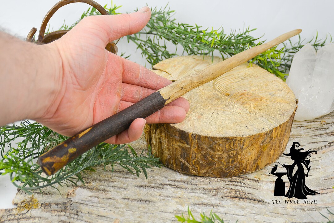 Natural and Traditional Wand Made of Witch Hazel Hamamelis Virginiana ...