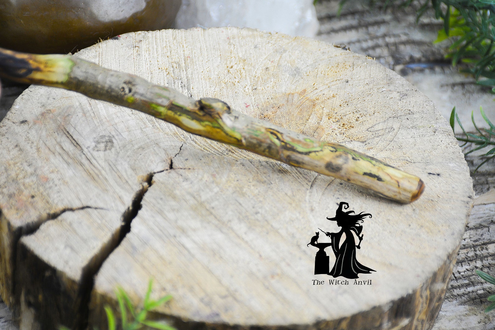 Magic and Rustic Wand of Natural Natural Winter Holly Stick - Etsy