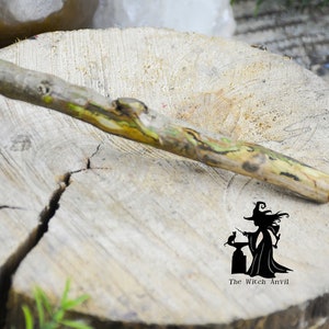 Magic and Rustic Wand of Natural Natural Winter Holly Stick - Etsy