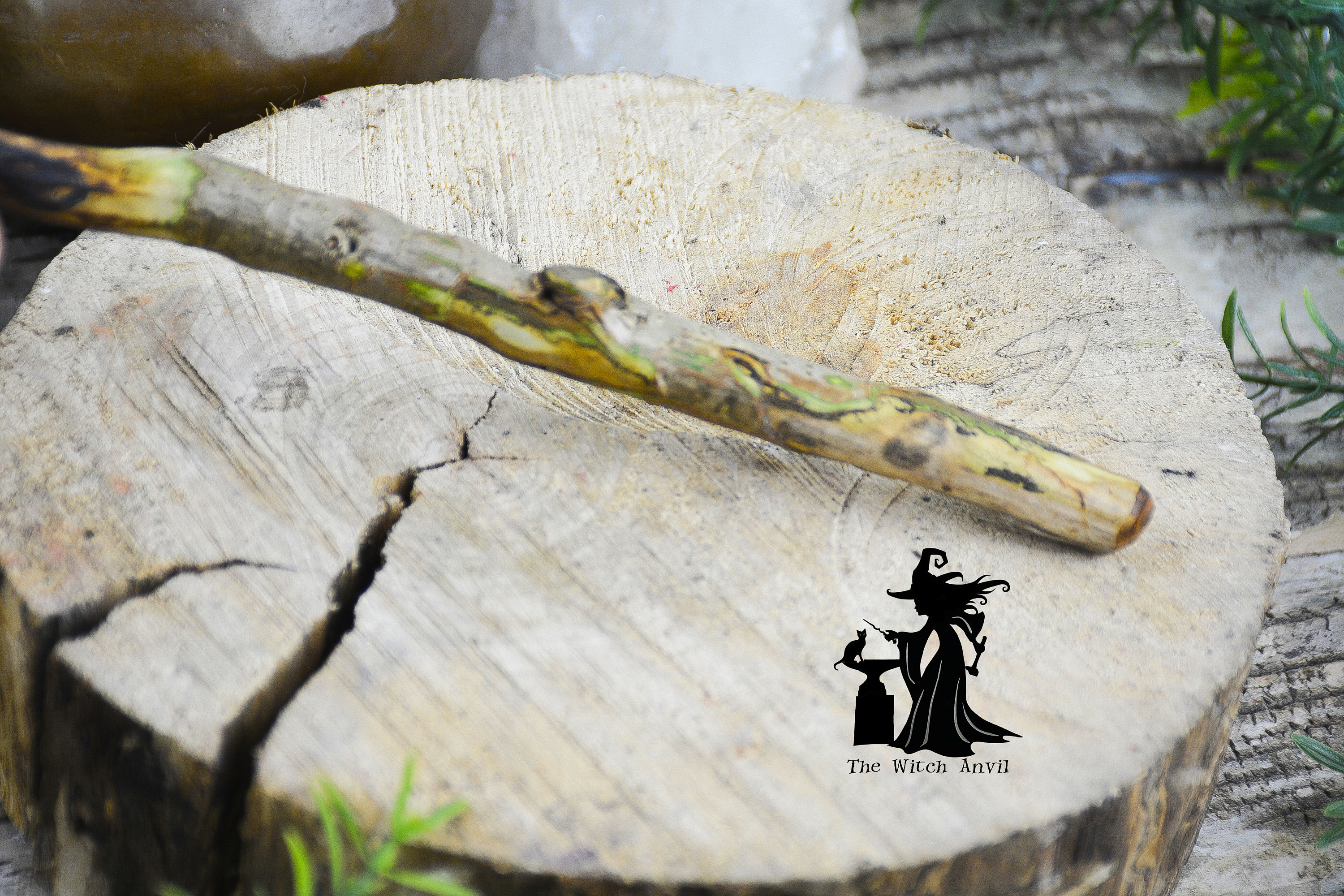 Magic and Rustic Wand of Natural Natural Winter Holly Stick - Etsy