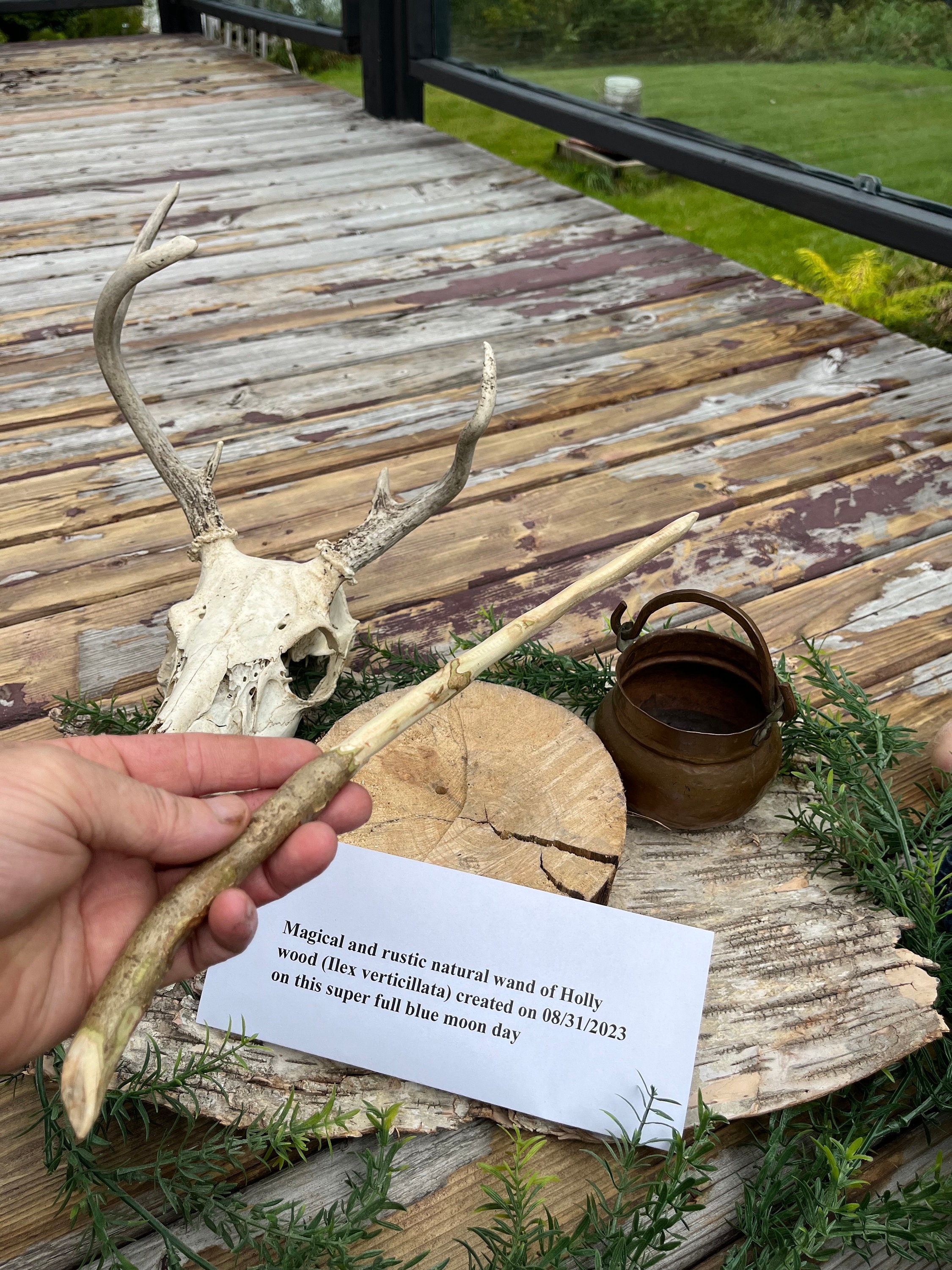 Magic and Rustic Wand of Natural Natural Winter Holly Stick - Etsy