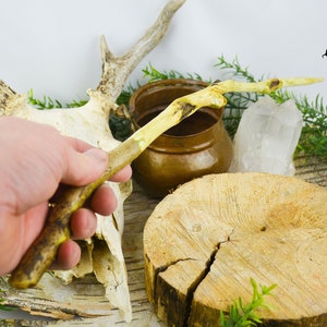 Magic and Rustic Wand of Natural Natural Winter Holly Stick (ilex ...