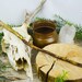 Magic and Rustic Wand of Natural Natural Winter Holly Stick - Etsy