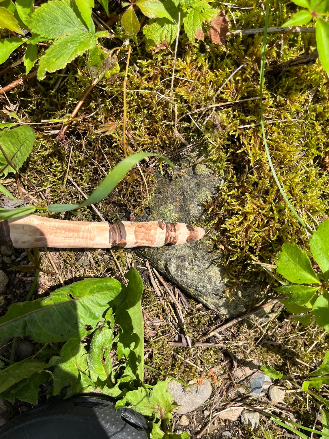 Rustic Hawthorn Wood Witch's Wand Named Sgèile Bheag small Scale - Etsy