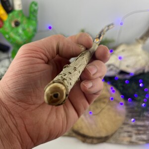 Elder Tree Wand (sambucus Canadensis) Named Am Fear Mòr Den Dùbhlachd ...