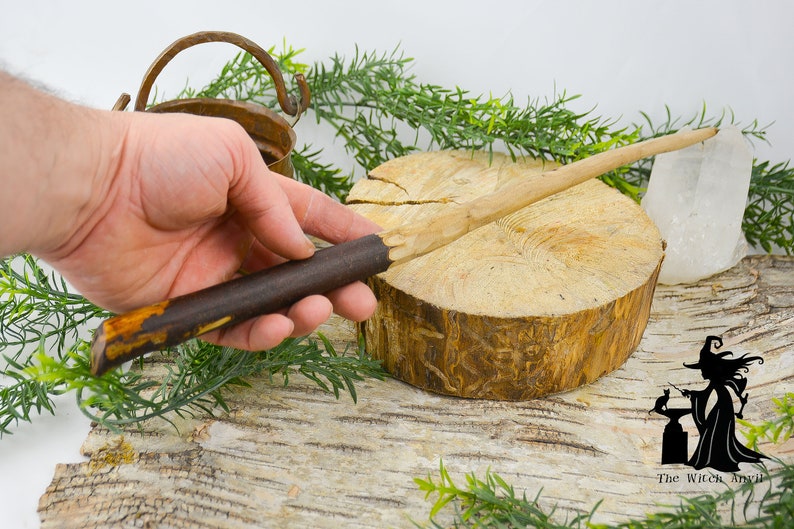 Natural and Traditional Wand Made of Witch Hazel Hamamelis Virginiana ...