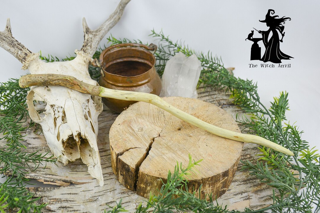 Magic and Rustic Wand of Natural Natural Winter Holly Stick ilex ...