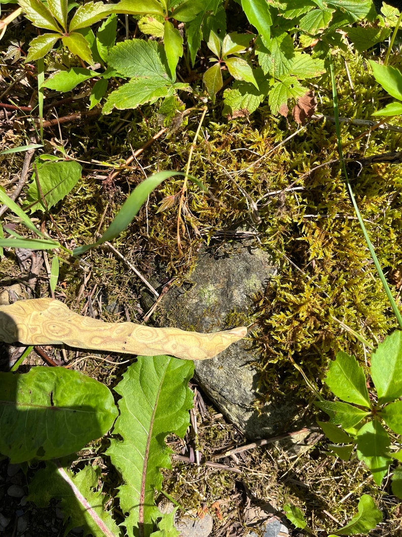 Natural Magic Wand Made of Sumac Wood Vinegar rhus Typhina the Wood of ...