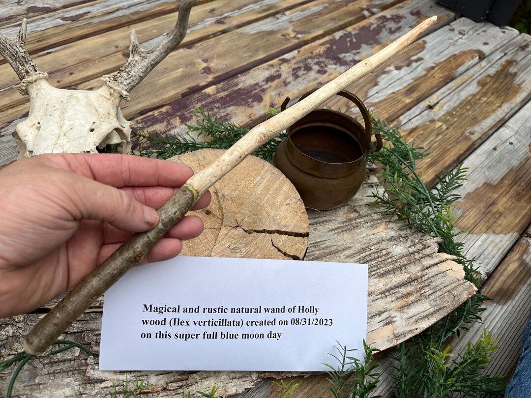Magic and Rustic Wand of Natural Natural Winter Holly Stick - Etsy