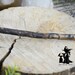 Magic and Rustic Wand of Natural Natural Winter Holly Stick - Etsy
