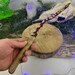 Natural Magic Wand Made of Sumac Wood Vinegar rhus Typhina the Wood of ...