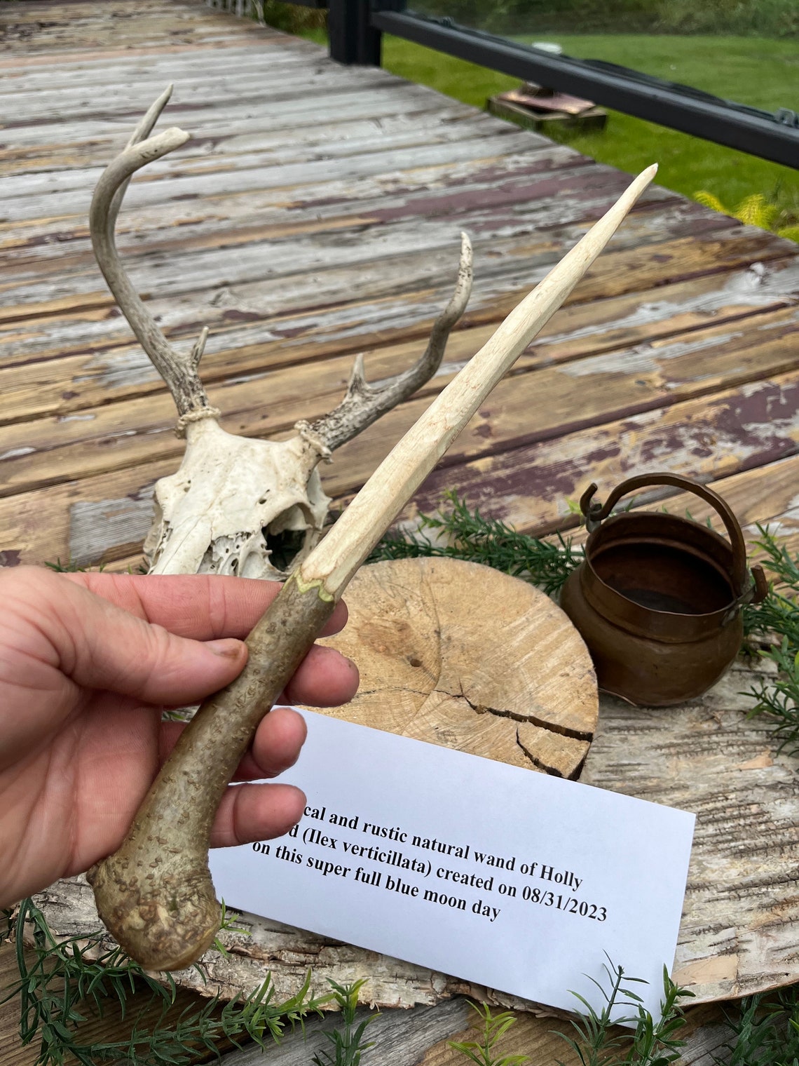 Magic and Rustic Wand of Natural Natural Winter Holly Stick (ilex ...