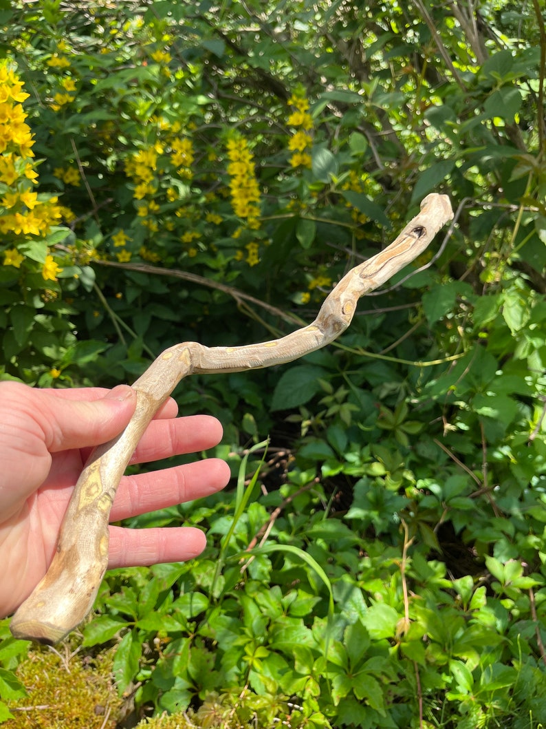 Natural Magic Wand Made of Sumac Wood Vinegar (rhus Typhina) the Wood ...