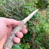 Natural Magic Wand Made of Sumac Wood Vinegar rhus Typhina the Wood of ...