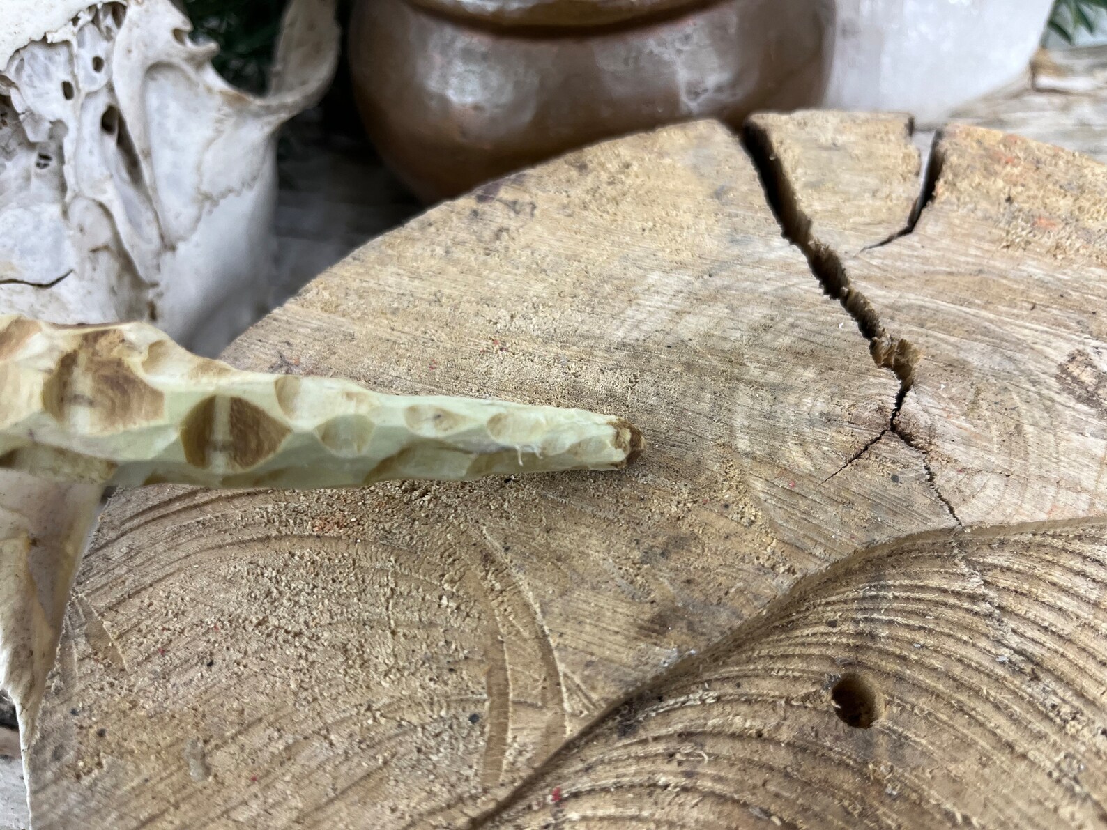 Magic and Rustic Wand of Natural Natural Winter Holly Stick (ilex ...
