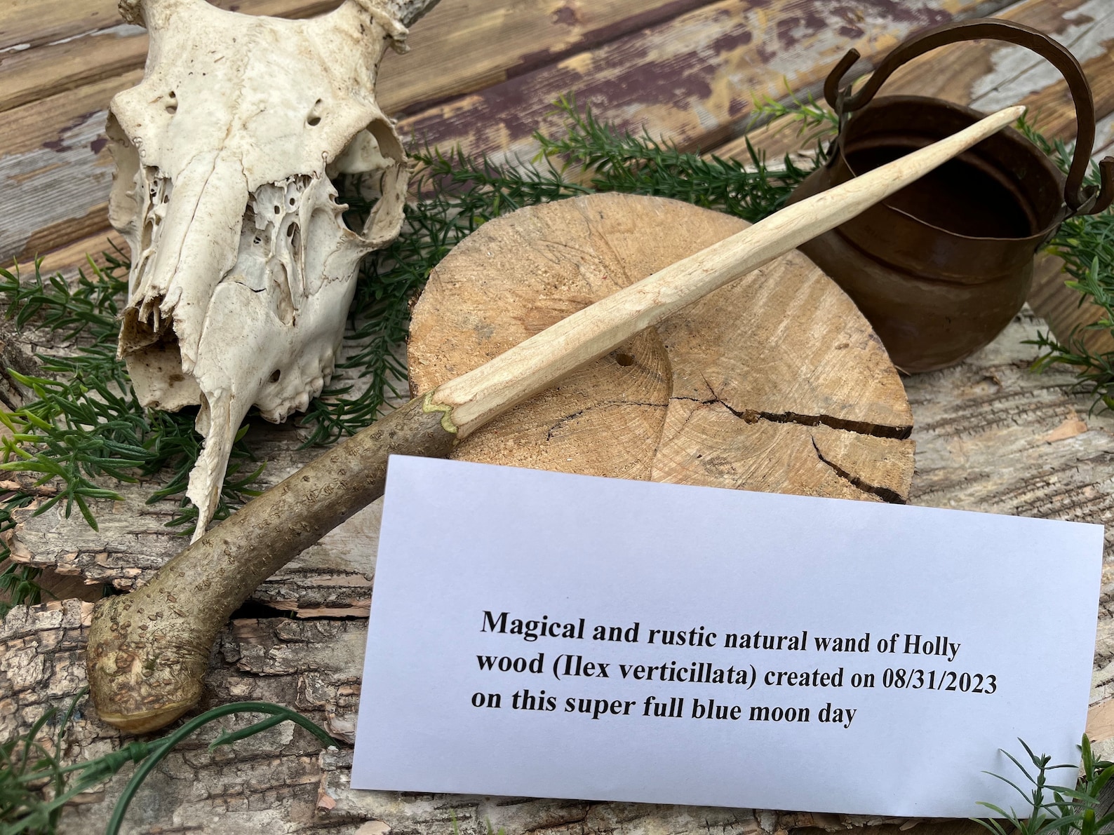 Magic and Rustic Wand of Natural Natural Winter Holly Stick (ilex ...