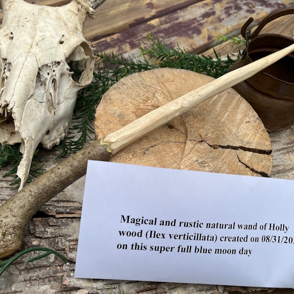 Natural Magic Wand Made of Sumac Wood Vinegar rhus Typhina the Wood of ...