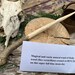 Natural Magic Wand Made of Sumac Wood Vinegar rhus Typhina the Wood of ...