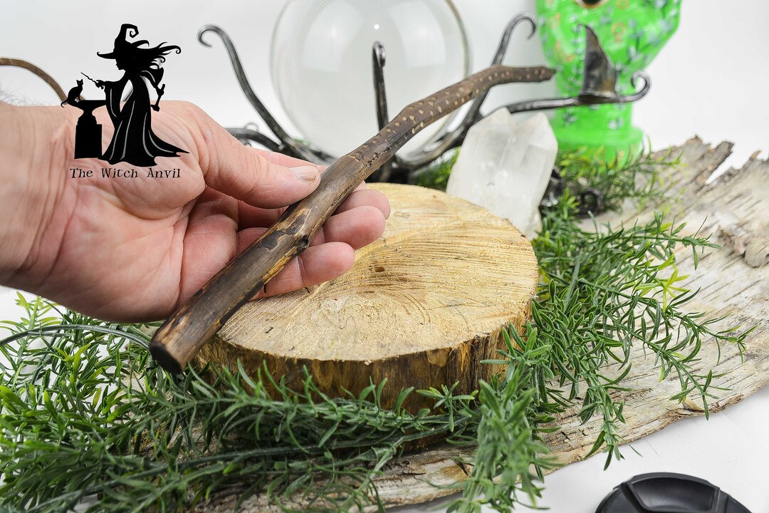 Natural and Traditional Wand Made of Witch Hazel Hamamelis Virginiana ...