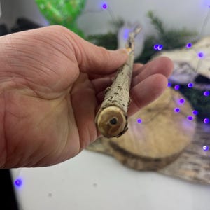 Elder Tree Wand (sambucus Canadensis) Named Am Fear Mòr Den Dùbhlachd ...