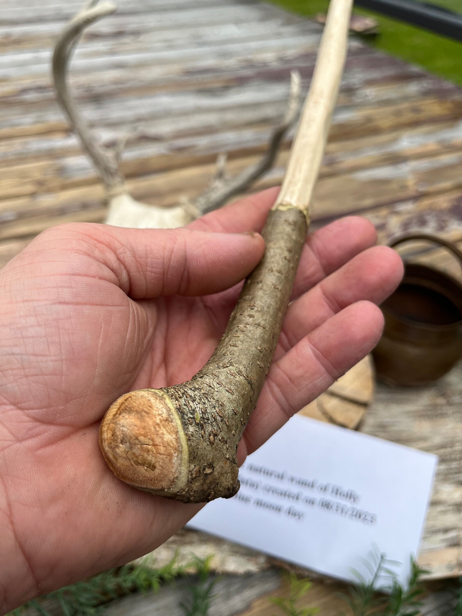 Magic and Rustic Wand of Natural Natural Winter Holly Stick (ilex ...