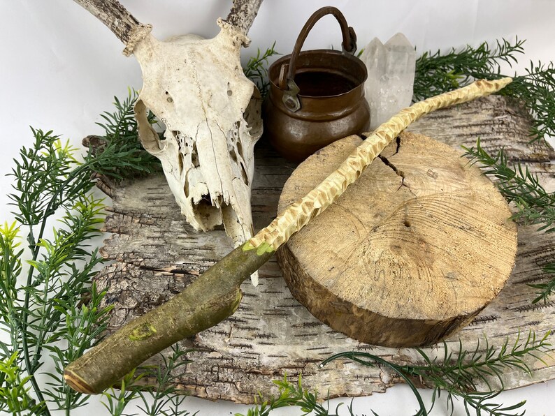 Magic and Rustic Wand of Natural Natural Winter Holly Stick (ilex ...