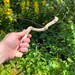 Natural Magic Wand Made of Sumac Wood Vinegar rhus Typhina the Wood of ...