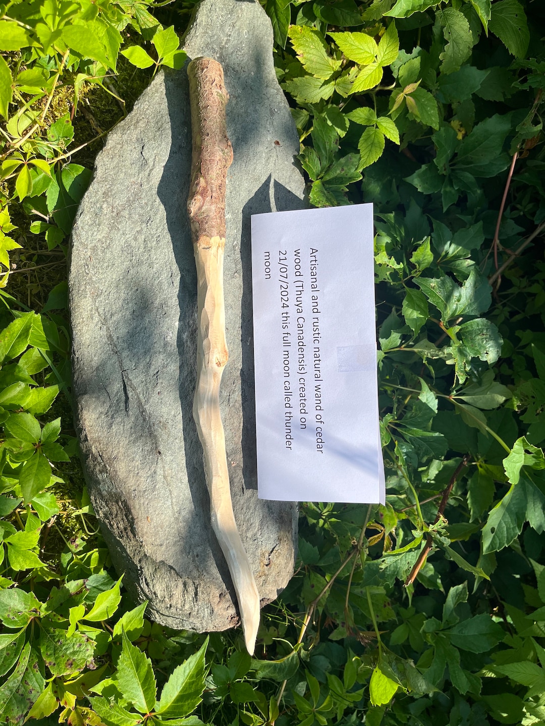 Traditional Cedar Wood Wand Named Seann Chromag (old Hooked) Made on 07 ...