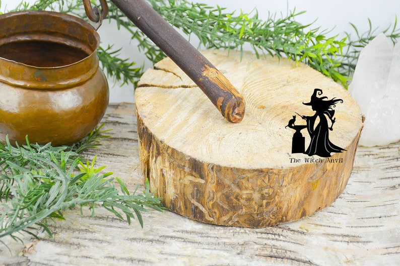 Natural and Traditional Wand Made of Witch Hazel Hamamelis Virginiana ...