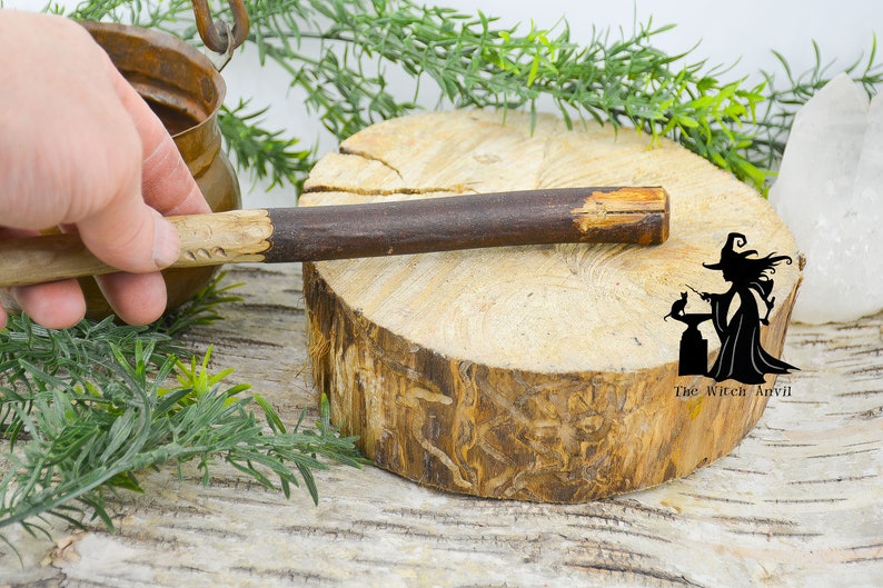 Natural and Traditional Wand Made of Witch Hazel Hamamelis Virginiana ...