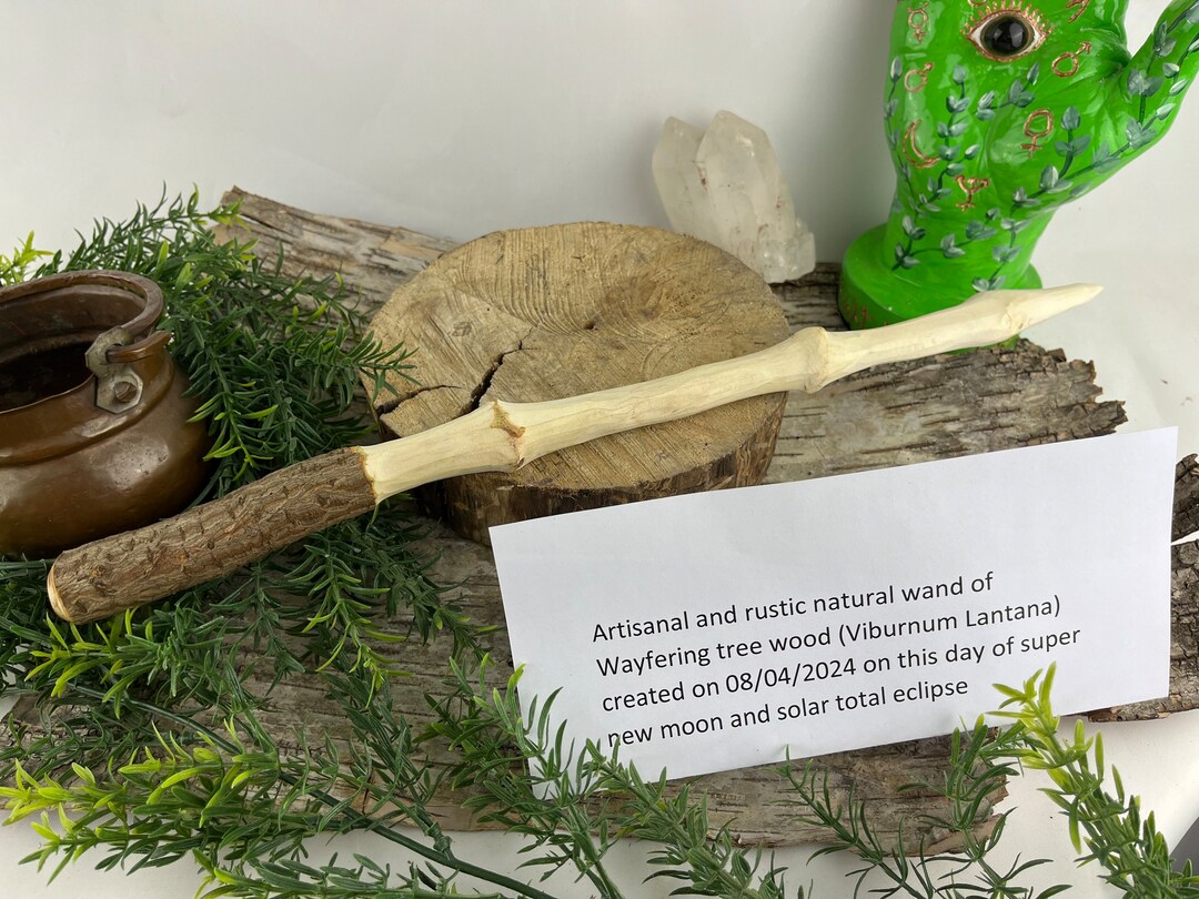 Natural Magic Wand Made of Wayfaring Tree Wood (viburnum Lantana) Named ...